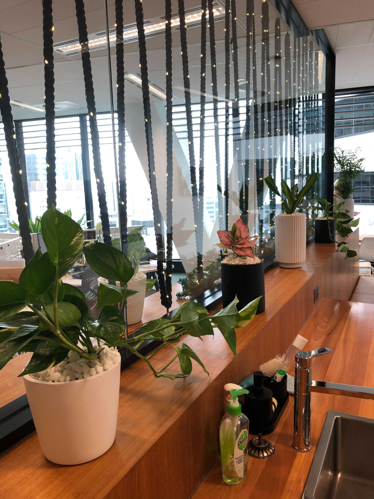 Case study: GRT Lawyers office plant hire - Advance Plants