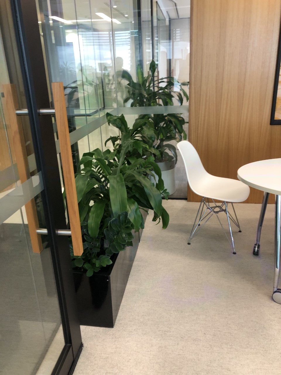 Case study: GRT Lawyers office plant hire | Advance Plants