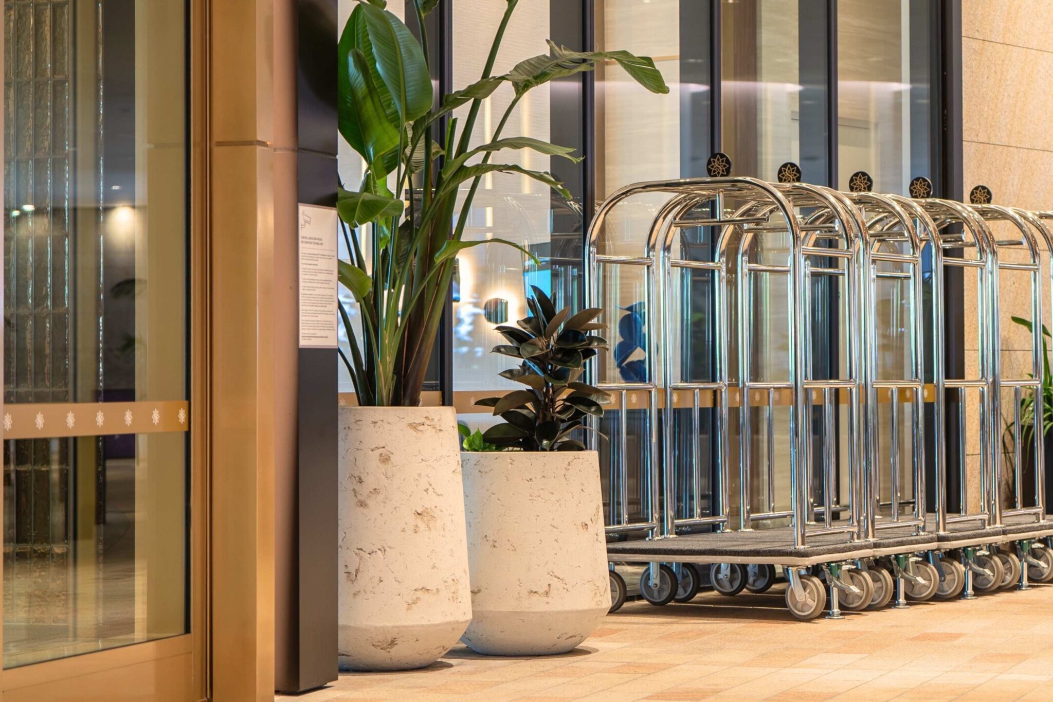 5 Major pot design trends for 2025 - Advance Plants